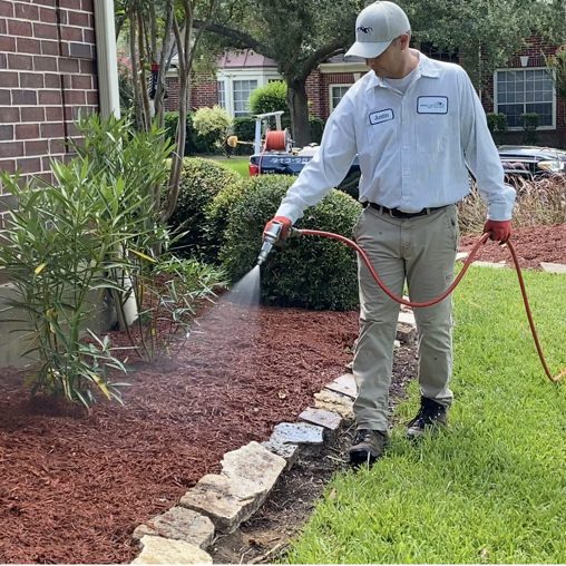 Termite Control in Houston | Preventive Pest Control