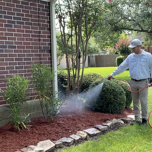 Termite Control in Houston | Preventive Pest Control