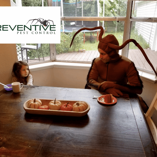 Houston Rodent Control | Rat & Mouse Control