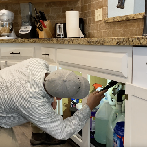 Houston Rodent Control | Rat & Mouse Control