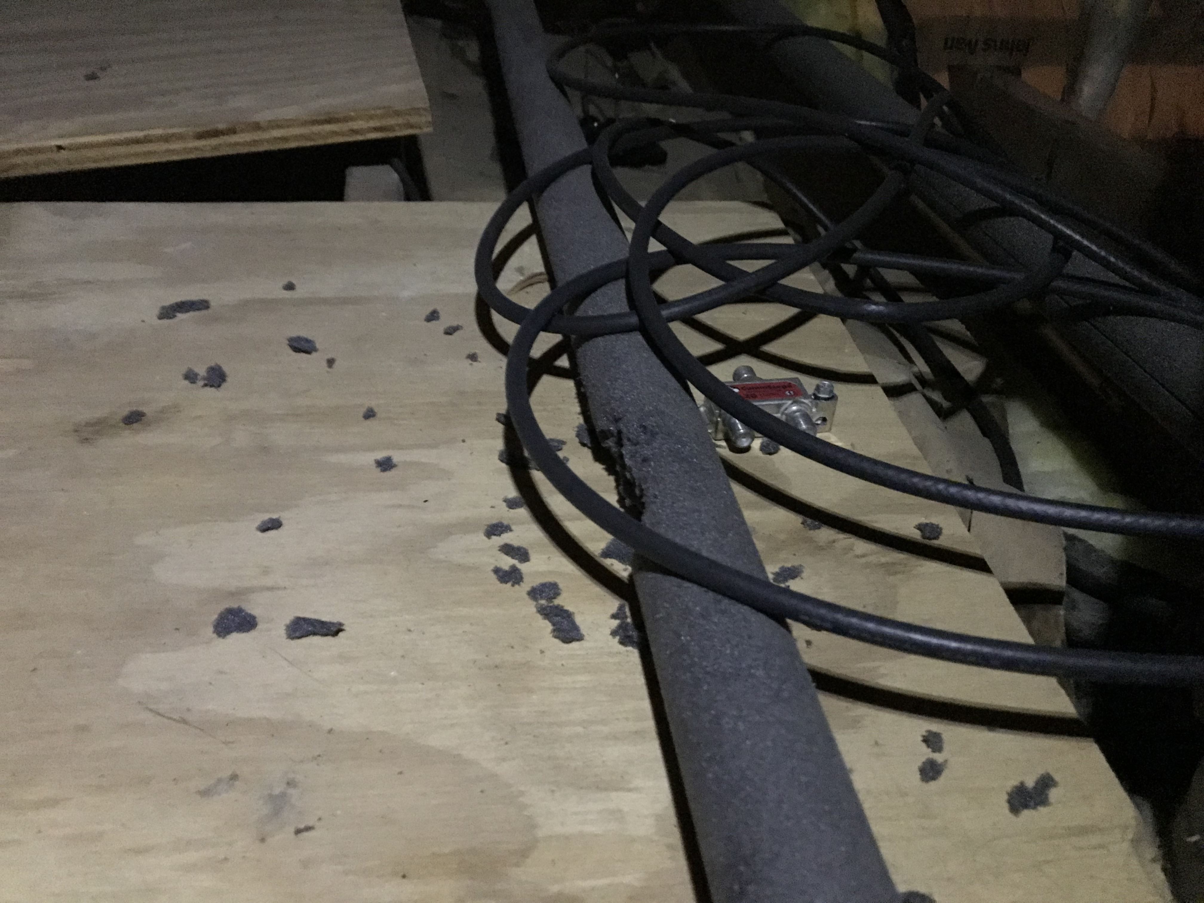 Houston Termite Control | Preventive Pest Control