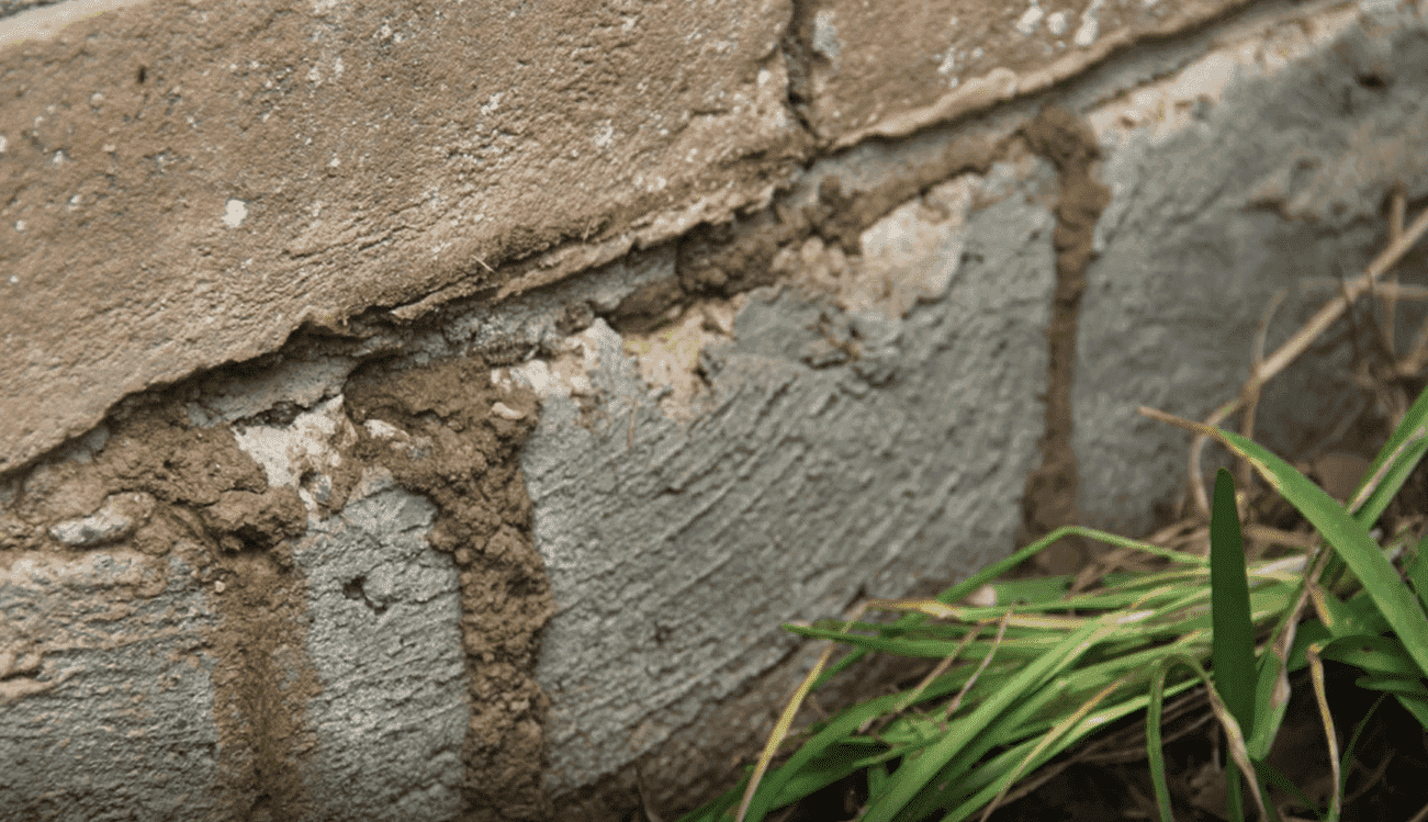 Video: Signs of Termite Activity